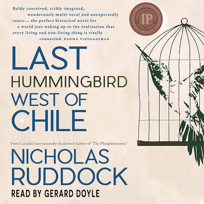 The Last Hummingbird West of Chile by Nicholas Ruddock.